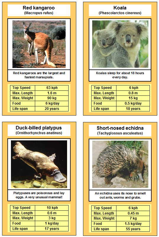 Free Printable Card Game - Animal Trumps - HubPages